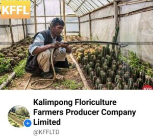 KFFL Logo – TOTALSTART ENTREPRENEURSHIP ECOSYSTEM DEVELOPERS